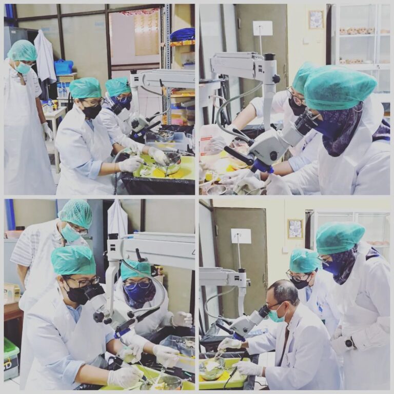 PPDS THTKL UNS 23 Agustus 2023 : Pelatihan Temporal Bone Dissection – Ilmu Kesehatan THT-KL ...